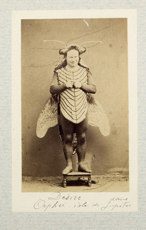 insect man | Spinning Piledriver